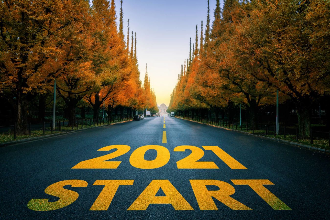 7 Essential Daily Living Skills for 2021